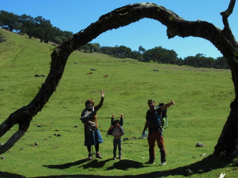 Madeira: Fanal Forest Guided Hiking Tour - Madeira: Fanal Forest Guided Hiking Tour