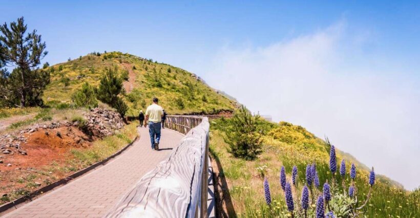 Madeira : Full Day Adult only East 4x4 Tour - The Sum Up: Why Choose This Tour?