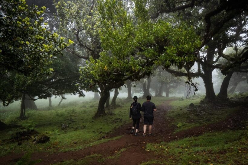 Madeira : Full Day Adult-only west 4x4 Tour - Madeira: Full Day Adult-only West 4x4 Tour — A Deep Dive into the Island’s Natural Charm