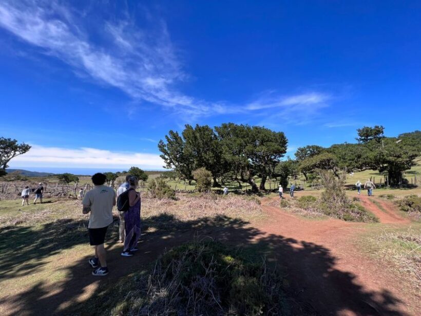 Madeira: Full-Day Jeep Tour with Guide and Pickup - FAQs