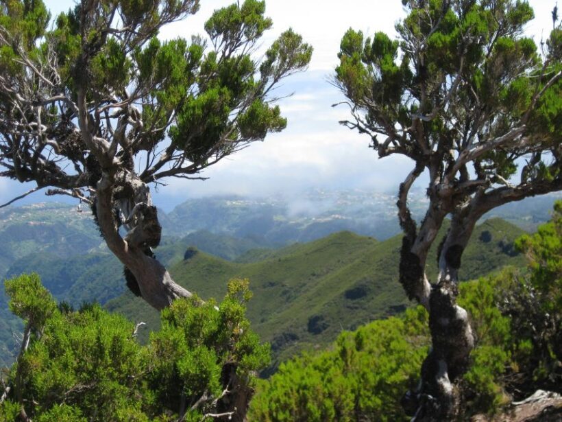 Madeira: Full-Day Pico Ruivo / Achada do Teixeira Walk - The Sum Up