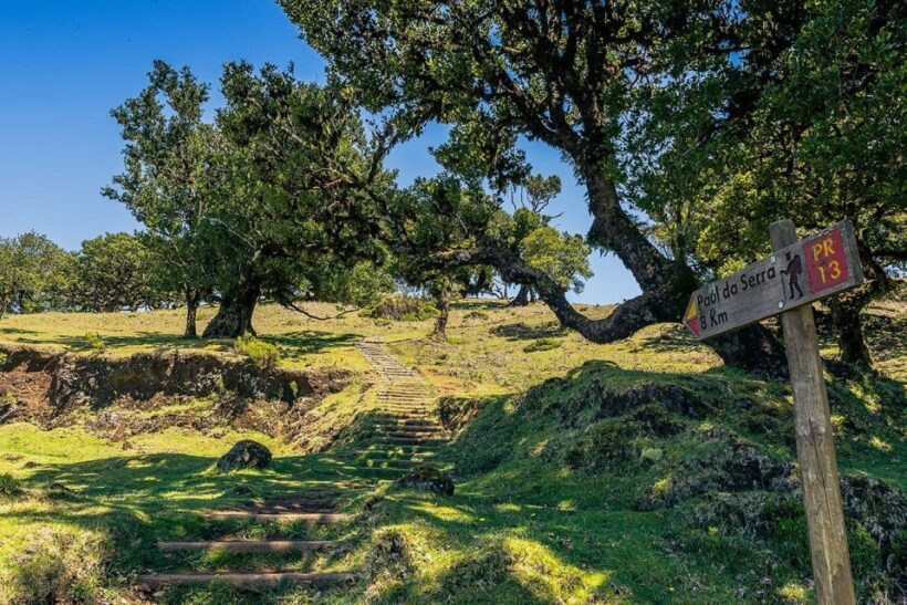 Madeira: Full-Day Porto Moniz Jeep Tour - Key Points