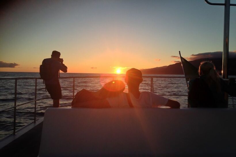 Madeira: Funchal Sunset Tour by Catamaran - Why This Tour Is Worth Considering