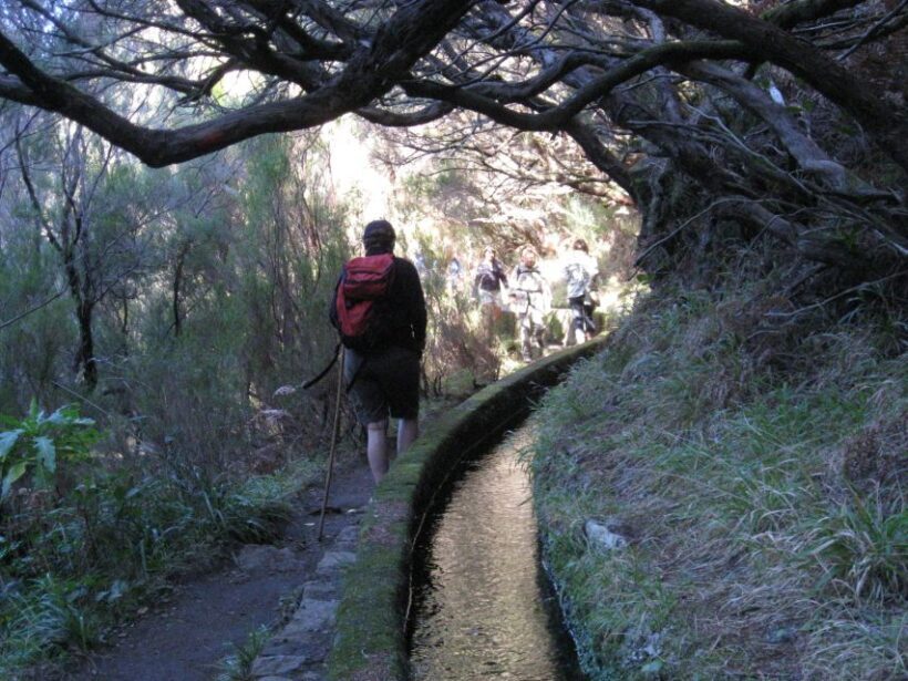 Madeira: Guided Full-Day Rabaçal Walk - Authenticity and Reviews