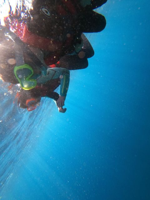 Madeira: Half-Day Coasteering Tour - An Exciting Way to Experience Madeira’s Coastline