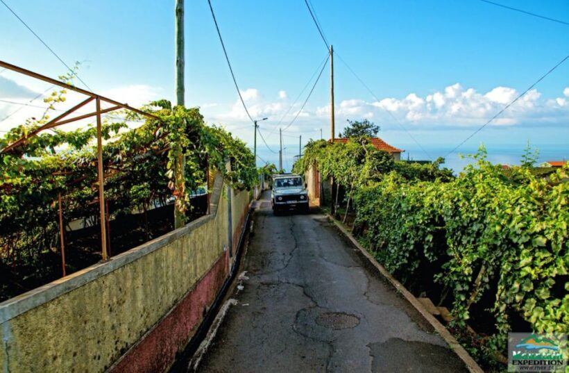 Madeira: Half-Day Nun's Valley and Sea Cliff Tour - Exploring Madeira’s Natural Contrasts