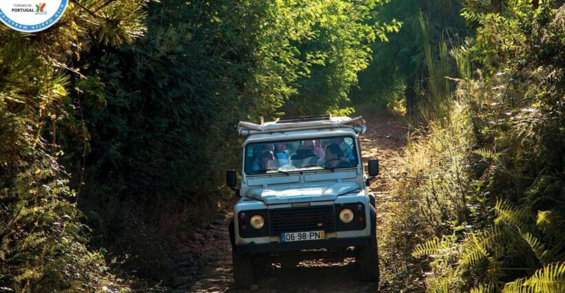 Madeira: Half-Day Nun's Valley and Sea Cliff Tour - The Itinerary Breakdown: What to Expect