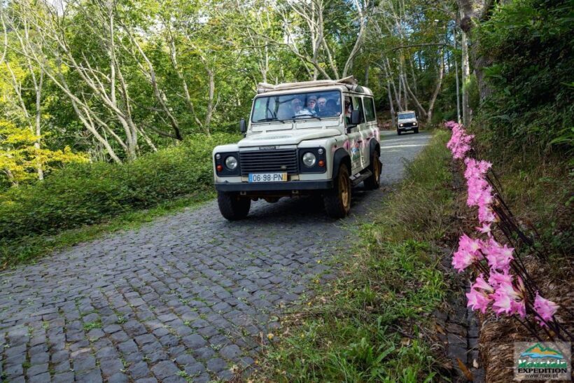 Madeira: Half-Day Nun's Valley and Sea Cliff Tour - Deep Dive into the Off-Road Experience