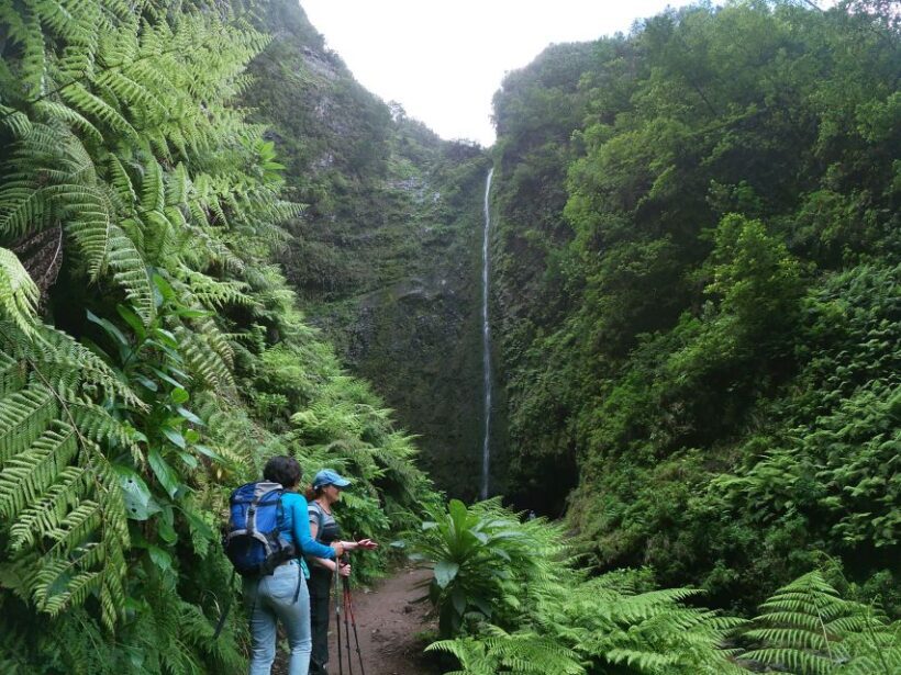 Madeira Island: Caldeirão Verde Levada Walk - What Makes This Tour Special?