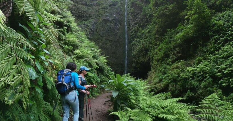 Madeira Island: Caldeirão Verde Levada Walk - Price and Value