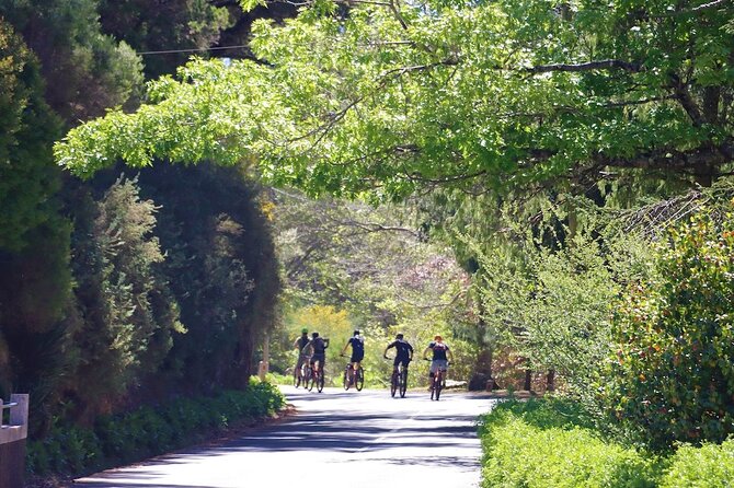 Madeira Island Guided Mountain Biking Adventure - FAQs
