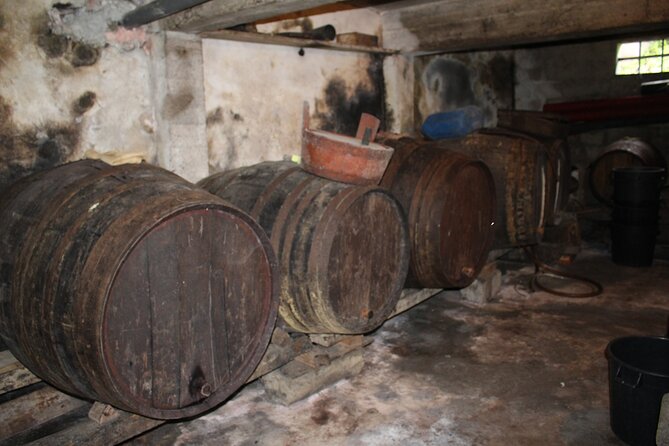 Madeira Island Private Wine Full-Day Tour in All Terrain Vehicle - Lunch and Wine Tastings