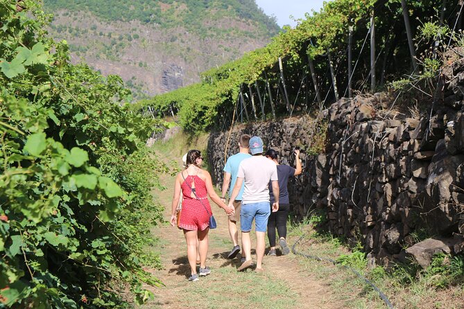 Madeira Island Private Wine Full-Day Tour in All Terrain Vehicle - Transportation and Pickup Options