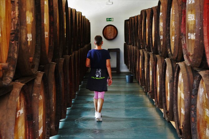 Madeira Island Private Wine Full-Day Tour in All Terrain Vehicle - Guest Feedback and Recommendation