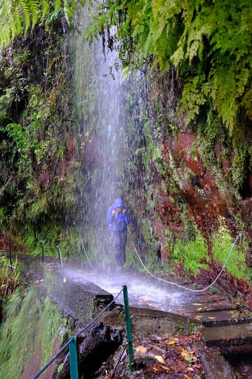 MADEIRA ISLAND WALK - HIDDEN CORNERS KINGS LEVADA - Introducing the Levada do Rei Experience
