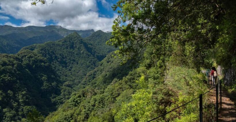MADEIRA ISLAND WALK - HIDDEN CORNERS KINGS LEVADA - Is This Tour Right for You?