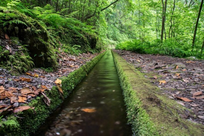 MADEIRA ISLAND WALK - HIDDEN CORNERS KINGS LEVADA - FAQ