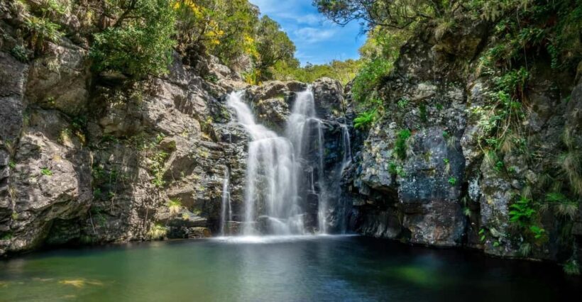 MADEIRA ISLAND WALK - LAKES OF MADEIRA , LEVADA DO ALECRIM - An Introduction to the Lakes of Madeira Walk