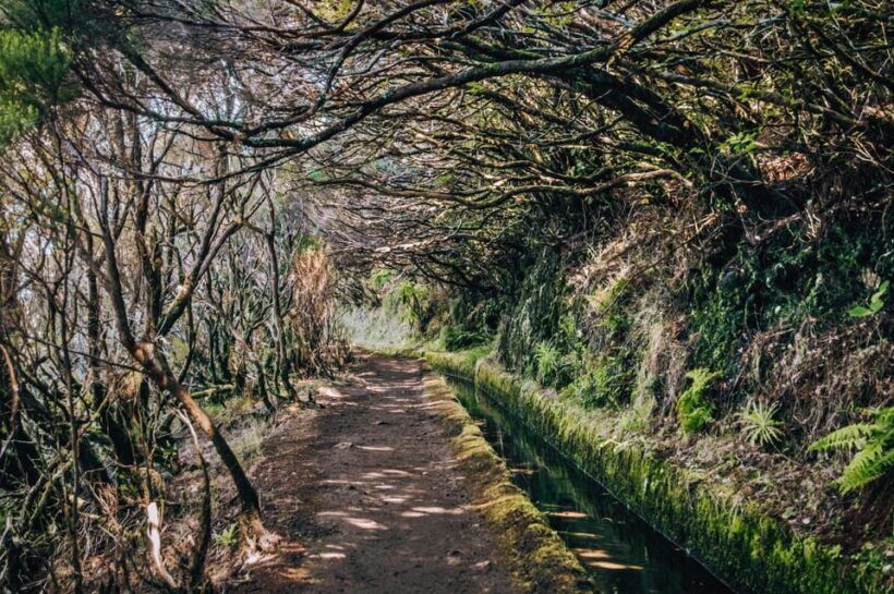 MADEIRA ISLAND WALK - LAKES OF MADEIRA , LEVADA DO ALECRIM - Key Points