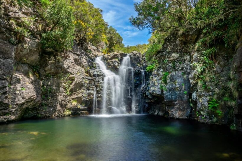 MADEIRA ISLAND WALK - LAKES OF MADEIRA , LEVADA DO ALECRIM - Is It Worth the Price? Analyzing the Value