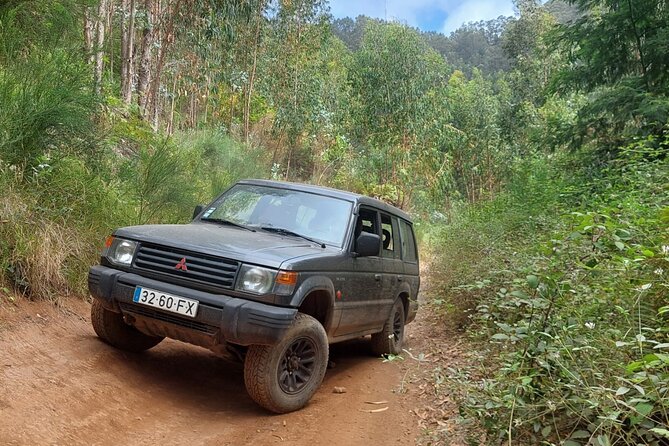 MADEIRA: Jeep Safari to Lava Pools and Seixal Full-Day West - Pickup Information