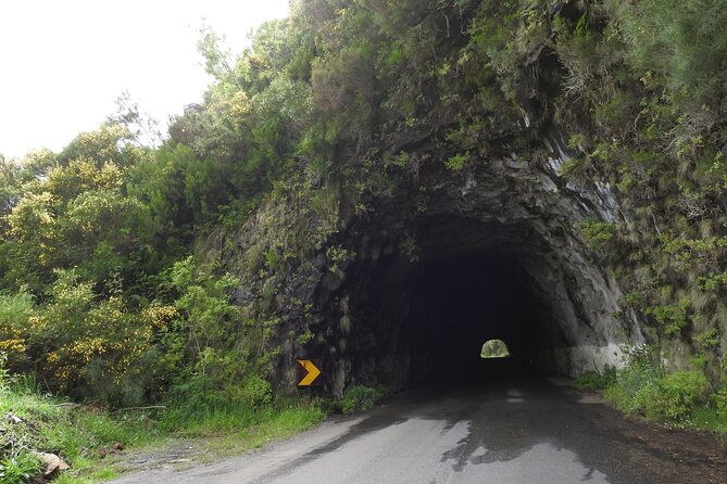 MADEIRA: Jeep Safari to Lava Pools and Seixal Full-Day West - Exploring Lava Pools