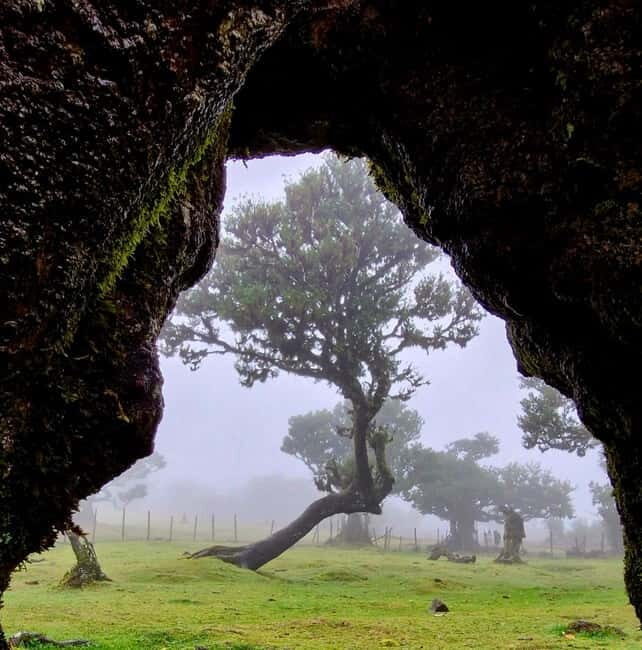 Madeira Jeep Safari Tour with Fanal Forest and Natural Pools - What You Can Expect from the Experience