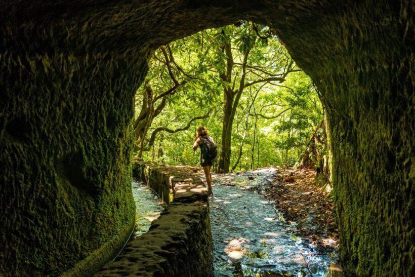 Madeira: Jungle Fever Levada Caldeirao Verde Hike Santana - Key Points