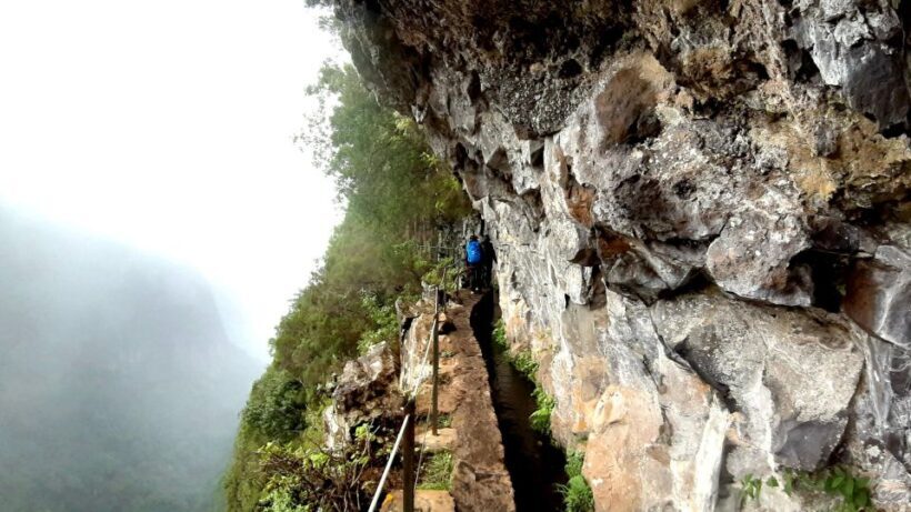 Madeira: Jungle Fever Levada Caldeirao Verde Hike Santana - The Experience: A Closer Look at the Tour