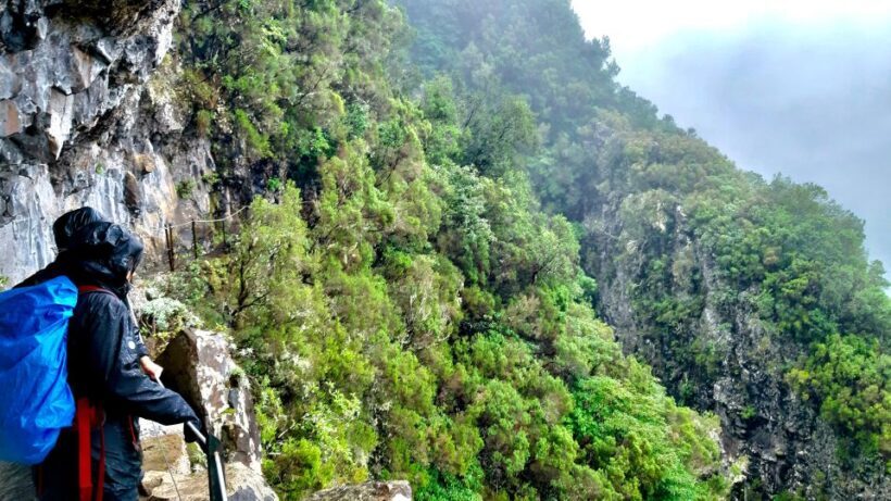 Madeira: Jungle Fever Levada Caldeirao Verde Hike Santana - Authentic Madeiran Experiences
