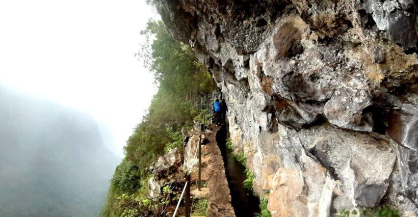 Madeira: Jungle Fever Levada Caldeirao Verde Hike Santana - Final Thoughts: Who Will Love This Tour?
