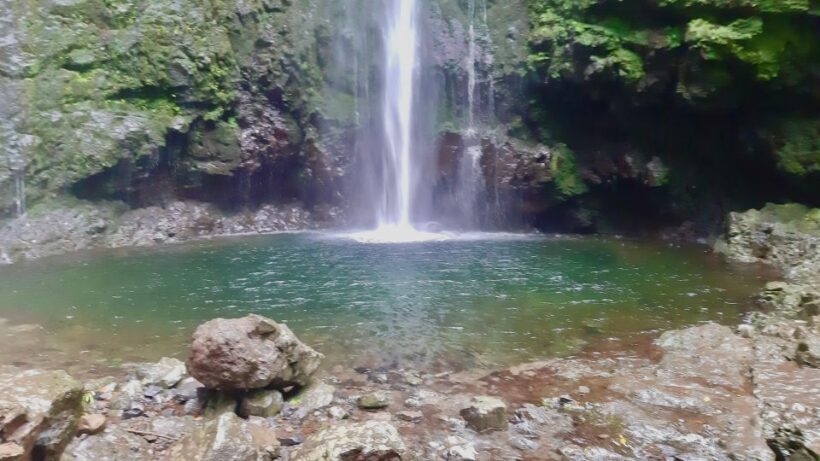 Madeira: Jungle Fever Levada Caldeirao Verde Hike Santana - FAQ