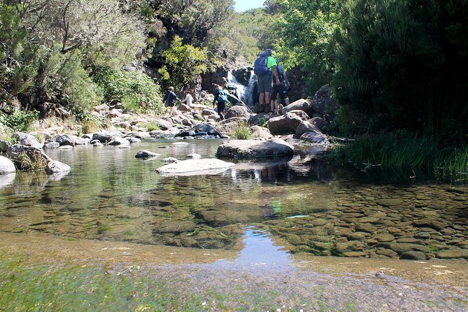 Madeira Lakes - Levada do Alecrim - The Guide and Group Dynamics