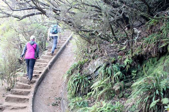 Madeira Lakes - Levada do Alecrim - Price and Value