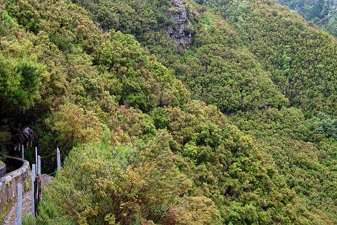 Madeira Levada Walk - Rabacal Lakes and Fountains - Highlights of the Laurisilva Forest