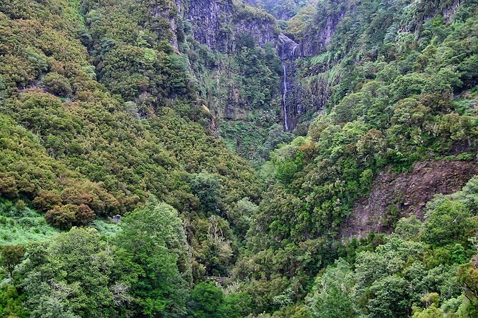 Madeira Levada Walk - Rabacal Lakes and Fountains - Reviews and Recommendations From Previous Travelers