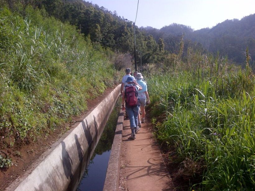 Madeira: Levado do Norte 2-Hour Hiking Tour - Practicalities and Tips