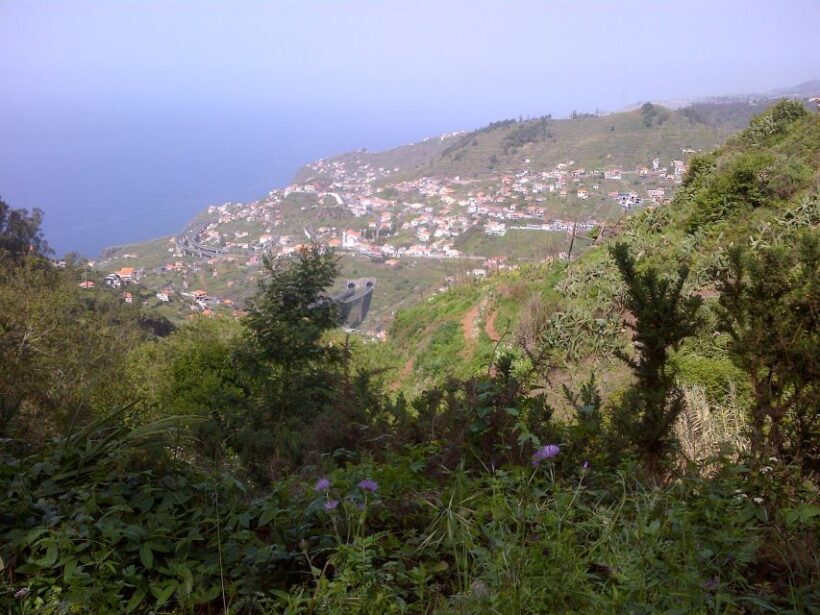 Madeira: Levado do Norte 2-Hour Hiking Tour - The Sum Up