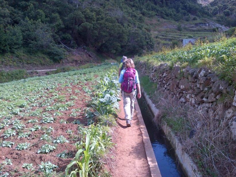 Madeira: Maroços Landscapes 2.5-Hour Guided Walk - An In-Depth Look at the Madeira Maroços Landscapes Tour