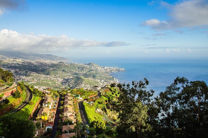 Madeira Mega Tour Review: A Scenic Adventure - Guide Performance and Feedback