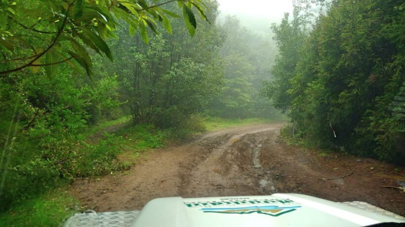 Madeira: Mini-Combo East Challenge: Jeep Safari + Levada - A Closer Look: What the Tour Entails