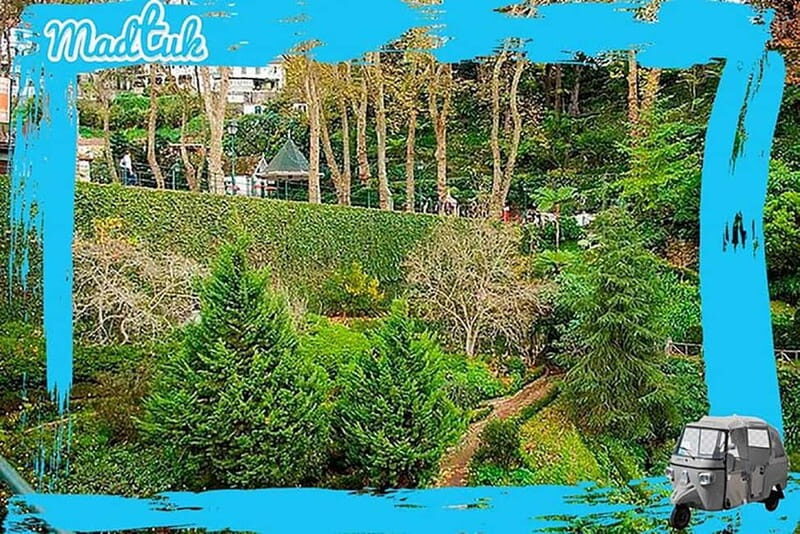 Madeira: Monte Toboggan + Old Town Tuk-Tuk Tour by MadTuk - Starting with Convenience and Comfort