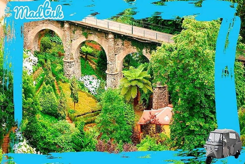 Madeira: Monte Toboggan + Old Town Tuk-Tuk Tour by MadTuk - Why This Tour Is a Good Value