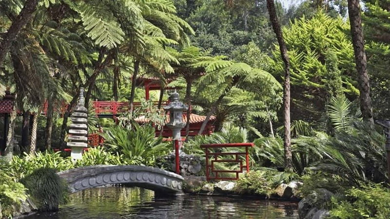 Madeira: Monte Tropical Gardens + Old Town Tuk Tuk by MadTuk - Key Points