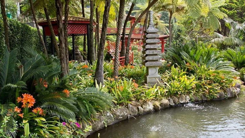 Madeira: Monte Tropical Gardens + Old Town Tuk Tuk by MadTuk - The Sum Up