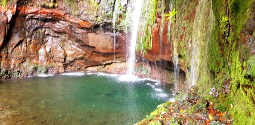 Madeira: Mountain Walk with Lagoon and Waterfalls - An In-Depth Look at the Tour