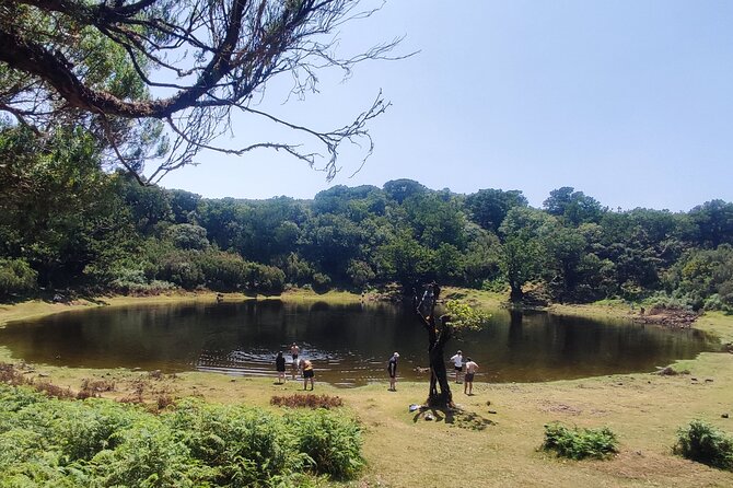 Madeira Mystery Tour - Full Day Private 4x4 Jeep - Off-Roading Adventures