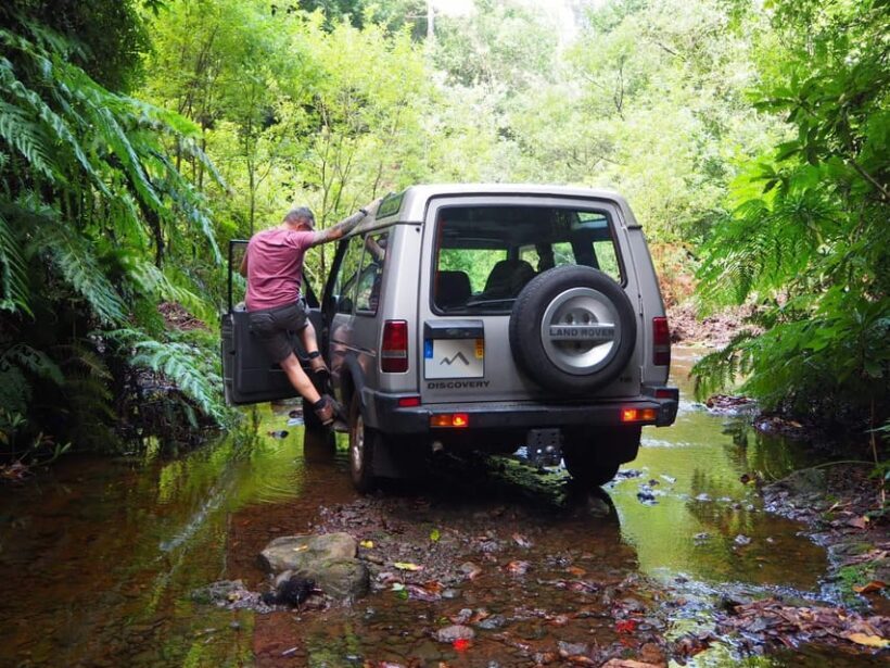 Madeira Northern Express, Private tour 4x4 - An In-Depth Look at the Madeira Northern Express Private Tour
