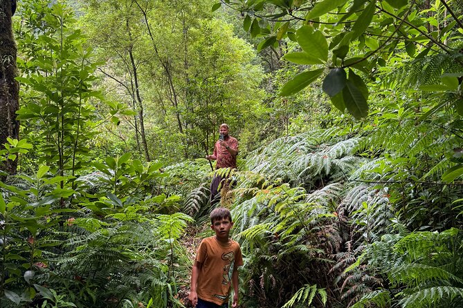 Madeira Off-Road 4x4 Jeep Adventure Private Full day Tour - FAQs