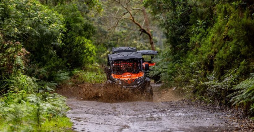 Madeira: OFF-ROAD BUGGY ADVENTURE TO FUNDURAS - Madeira: OFF-ROAD BUGGY ADVENTURE TO FUNDURAS